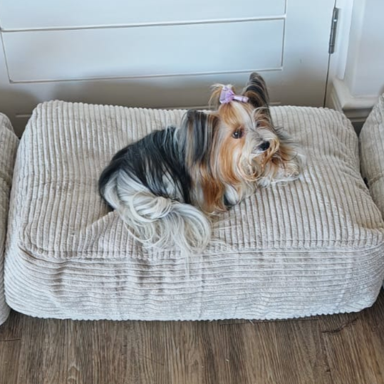 Pooch Pads – Inside Out Decor